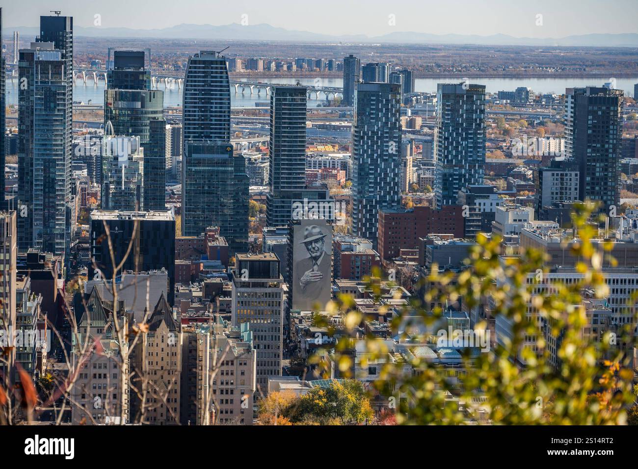 Montreal Skyline mit Blick vom Mont Royal *** Montreal skyline with ...