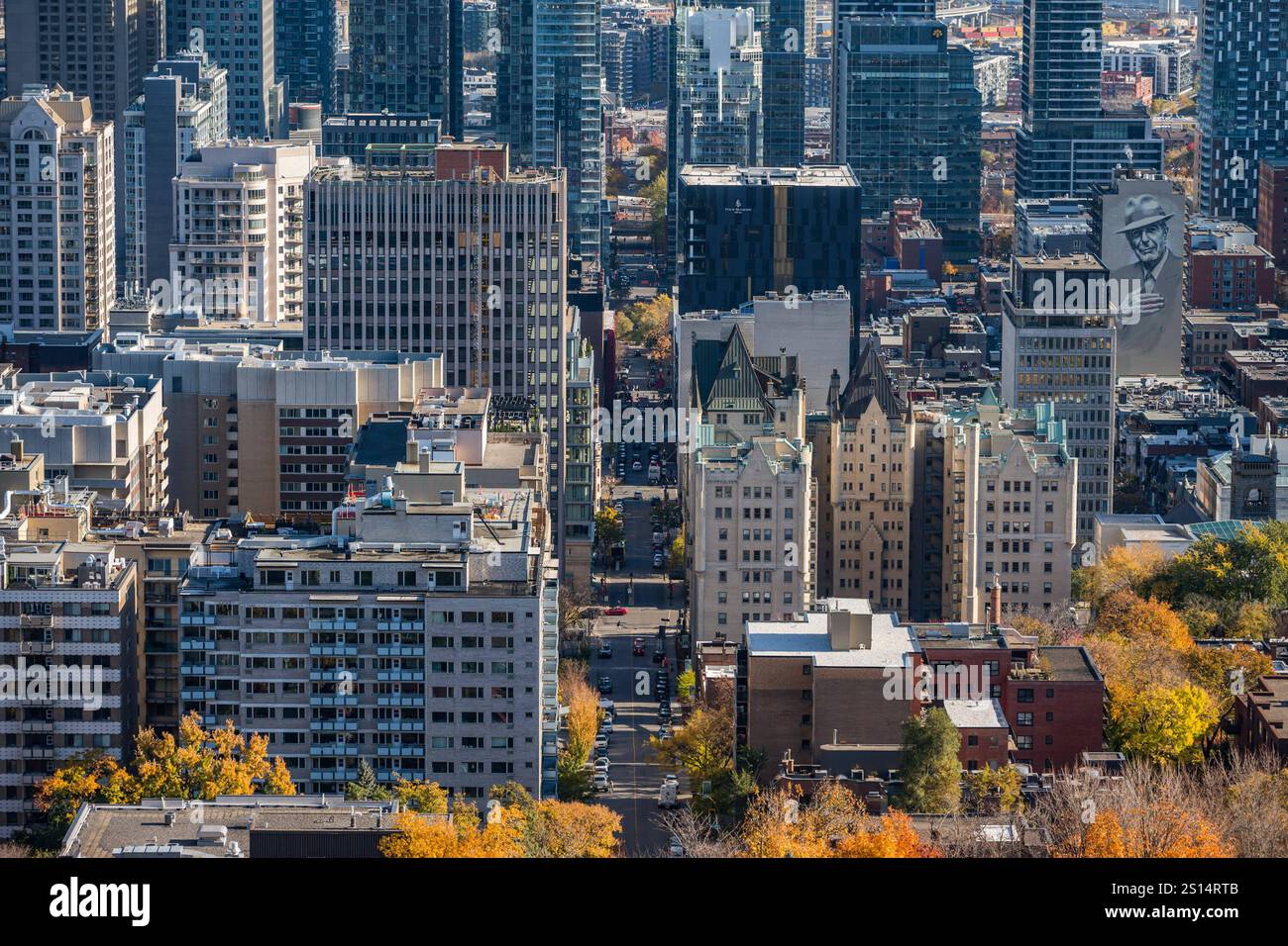 Montreal Skyline mit Blick vom Mont Royal *** Montreal skyline with ...
