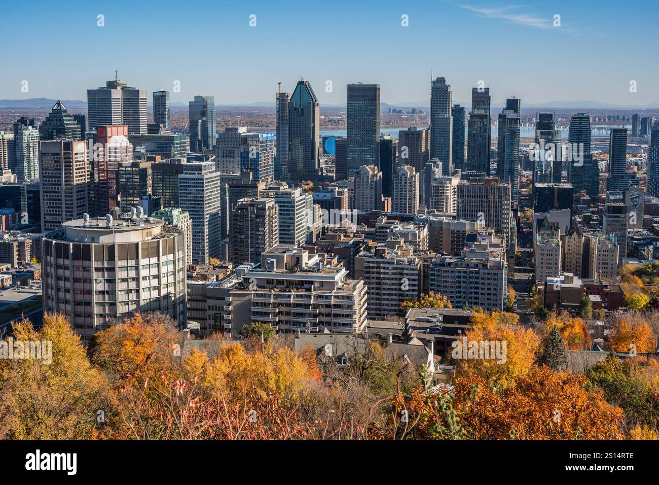 Montreal Skyline mit Blick vom Mont Royal *** Montreal skyline with ...