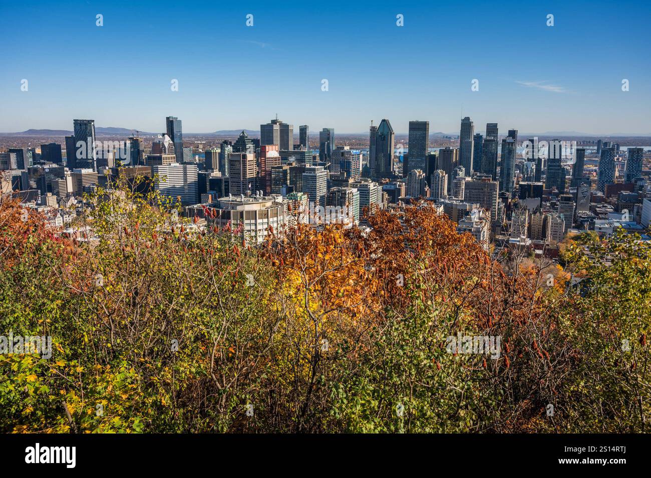 Montreal Skyline mit Blick vom Mont Royal *** Montreal skyline with ...