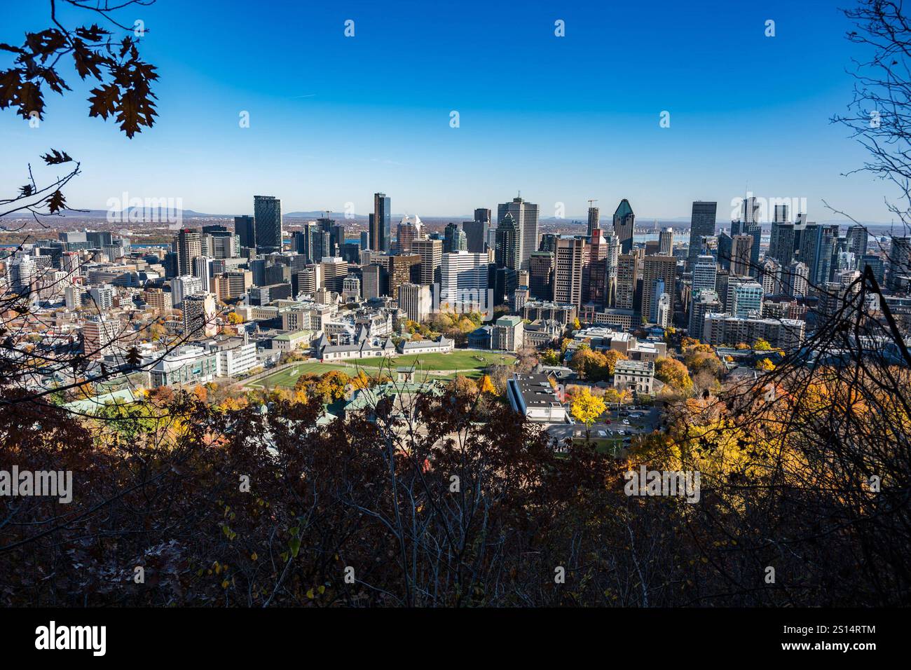 Montreal Skyline *** Montreal Skyline Stock Photo - Alamy