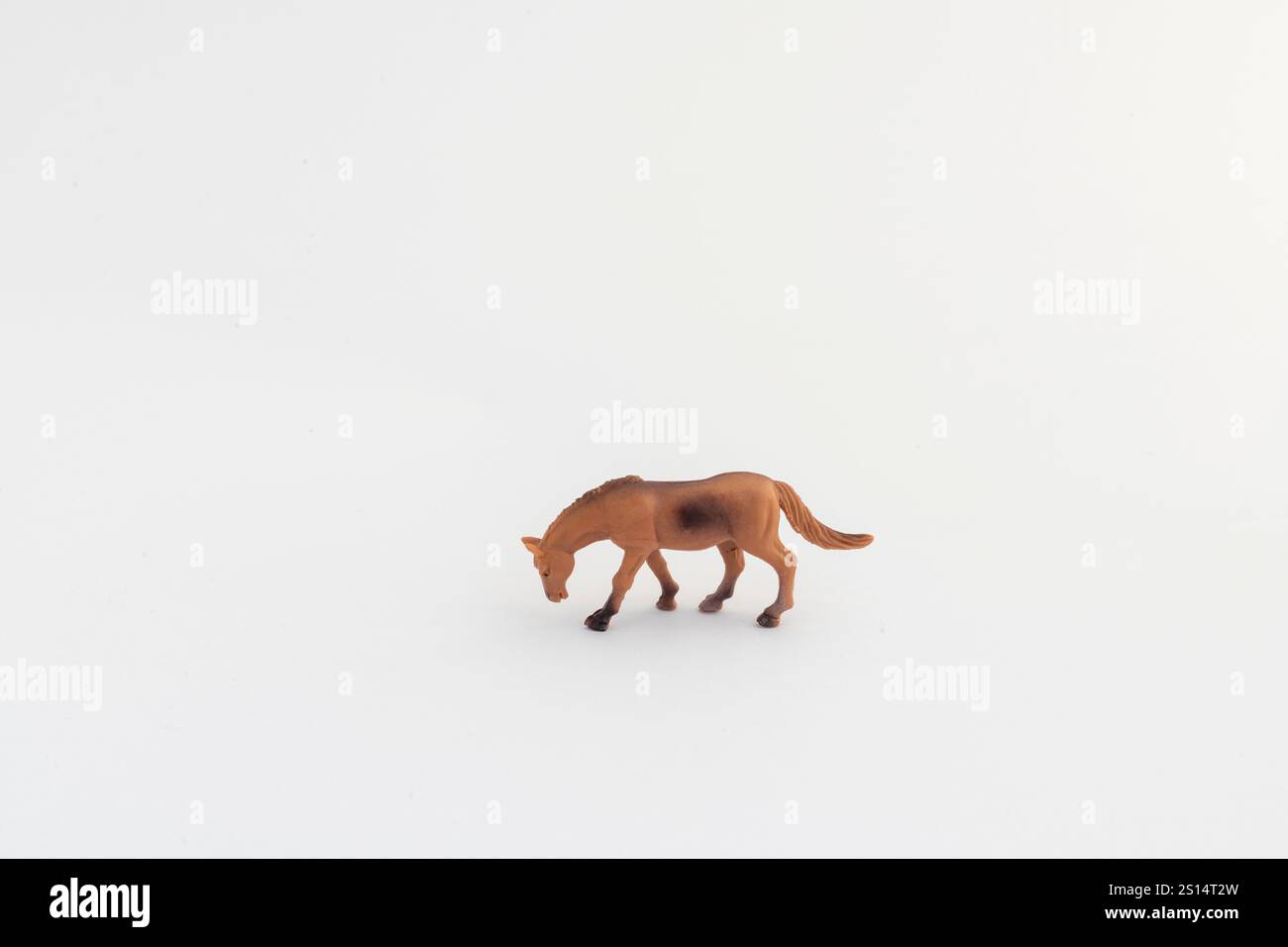 A single miniature brown horse isolated on white background Stock Photo ...