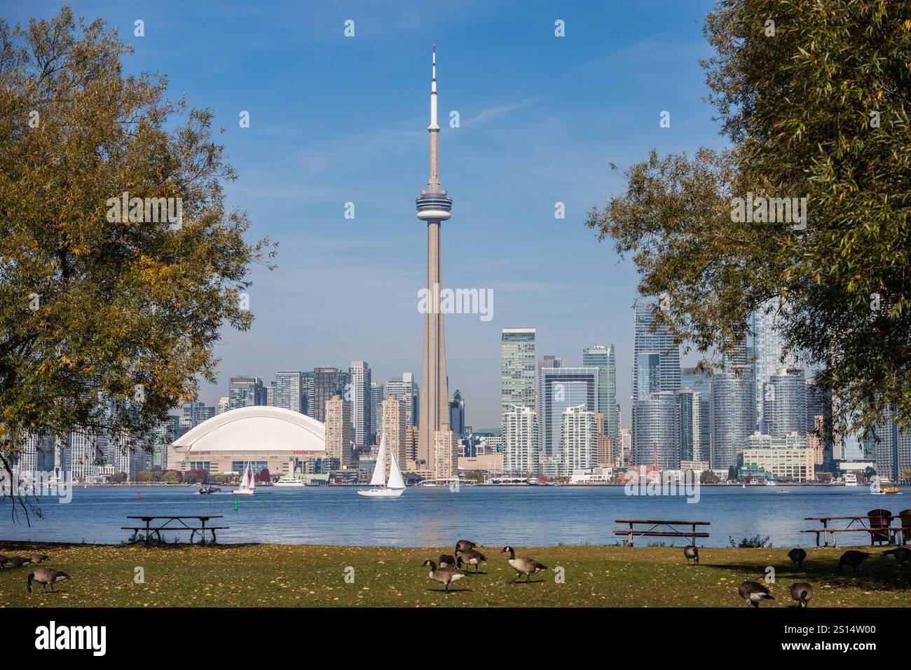 Toronto Skyline mit CN Tower *** Toronto skyline with CN Tower Stock ...