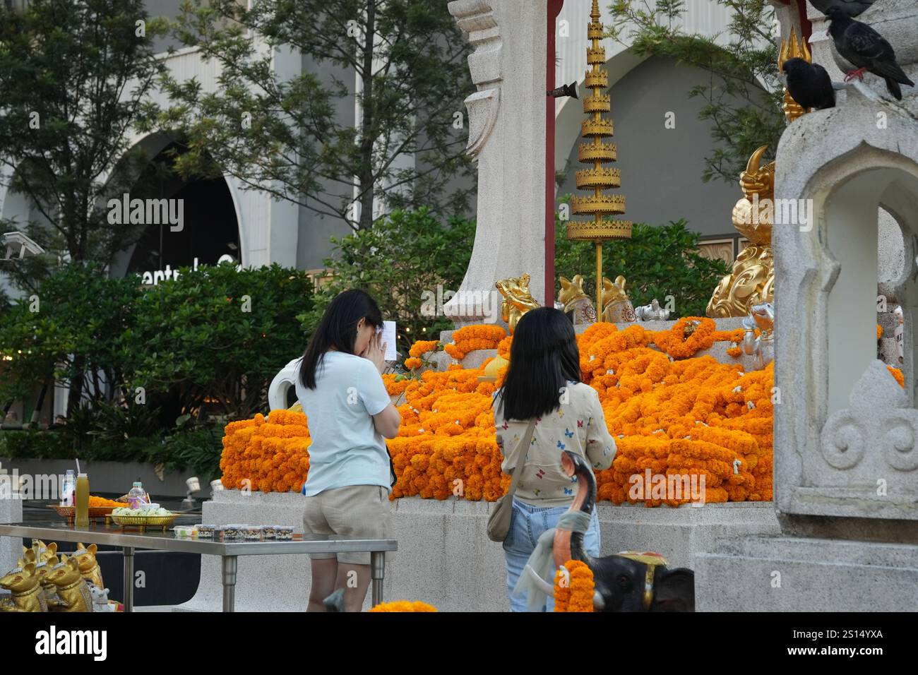 Bangkok, Thailand, Nov 20, 2024: woman prays at a spirit house on ...