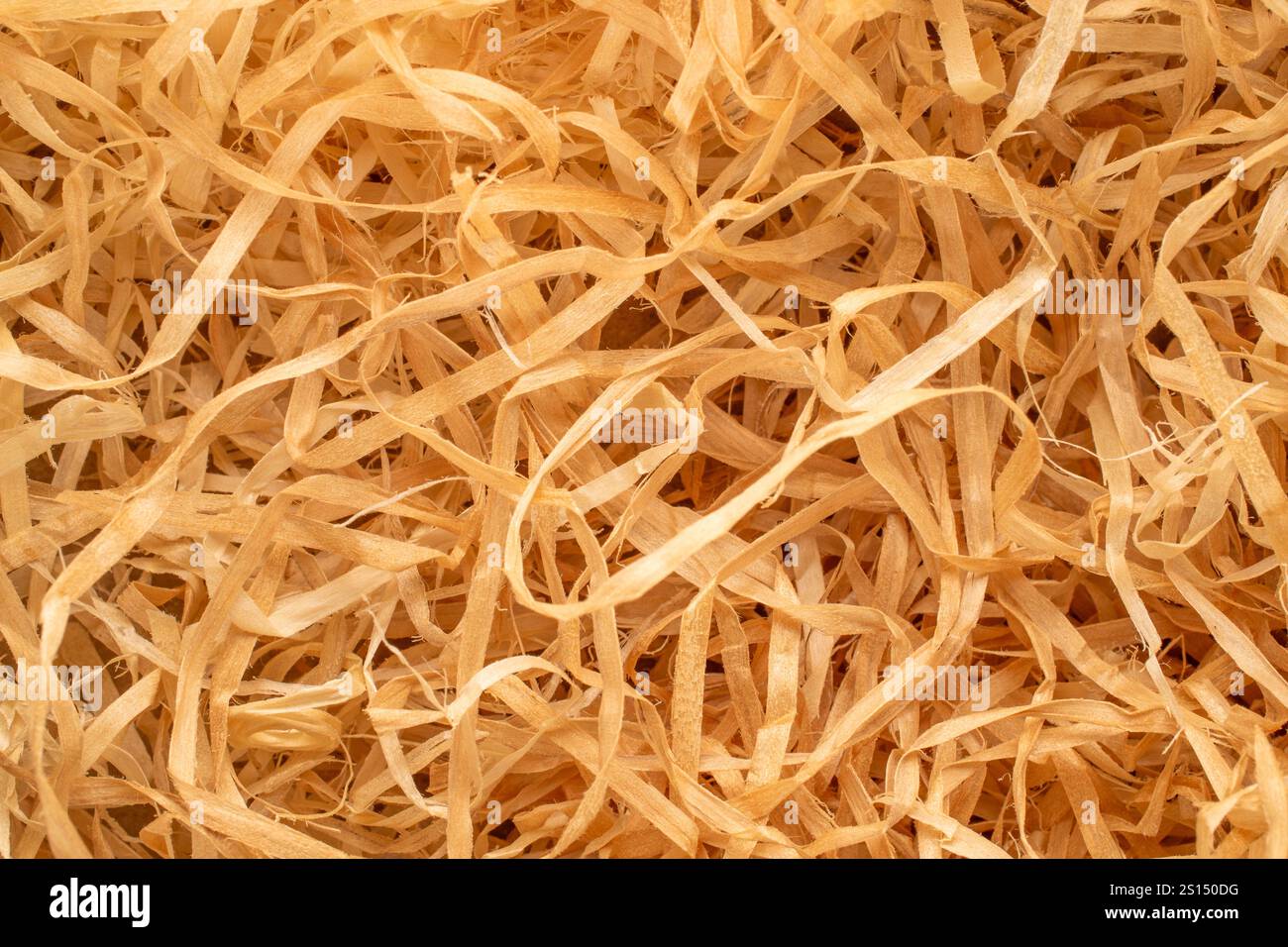 Wood shavings, macro, top view Stock Photo - Alamy