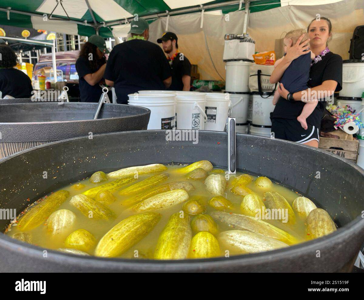 Sour pickles sit in a bucket of brine at a stall at Picklesburgh ...