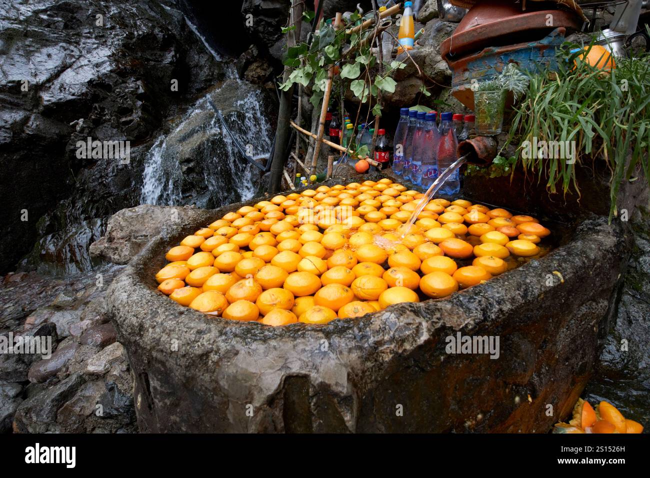 oranges cooling in artificial pool in the cafe at the imlil waterfalls ...
