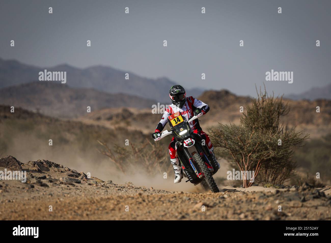 14 BUHLER Sebastian (ger), Hero, Hero Motorsports Team Rally, FIM W2RC ...