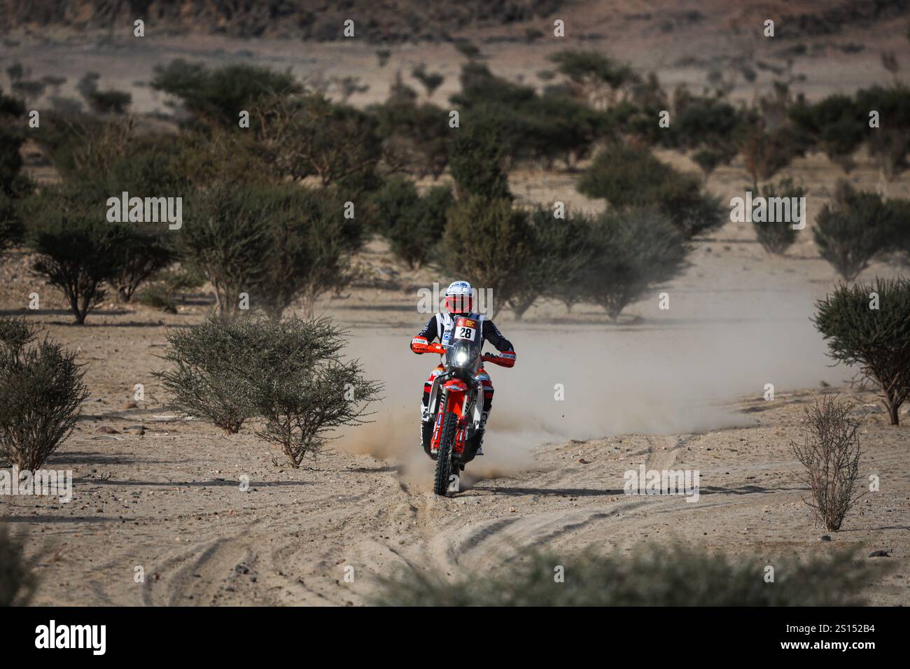 28 MULEC Toni (svn), KTM, Bas World KTM Racing Team, FIM W2RC, Rally2, action during the Private ...