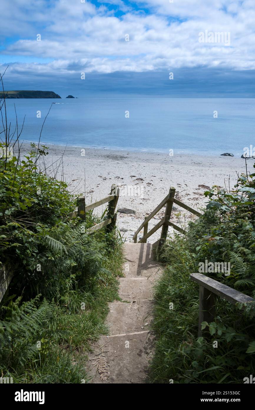 Walks step down to the Porthbean Beach, Cornwall UK Stock Photo - Alamy