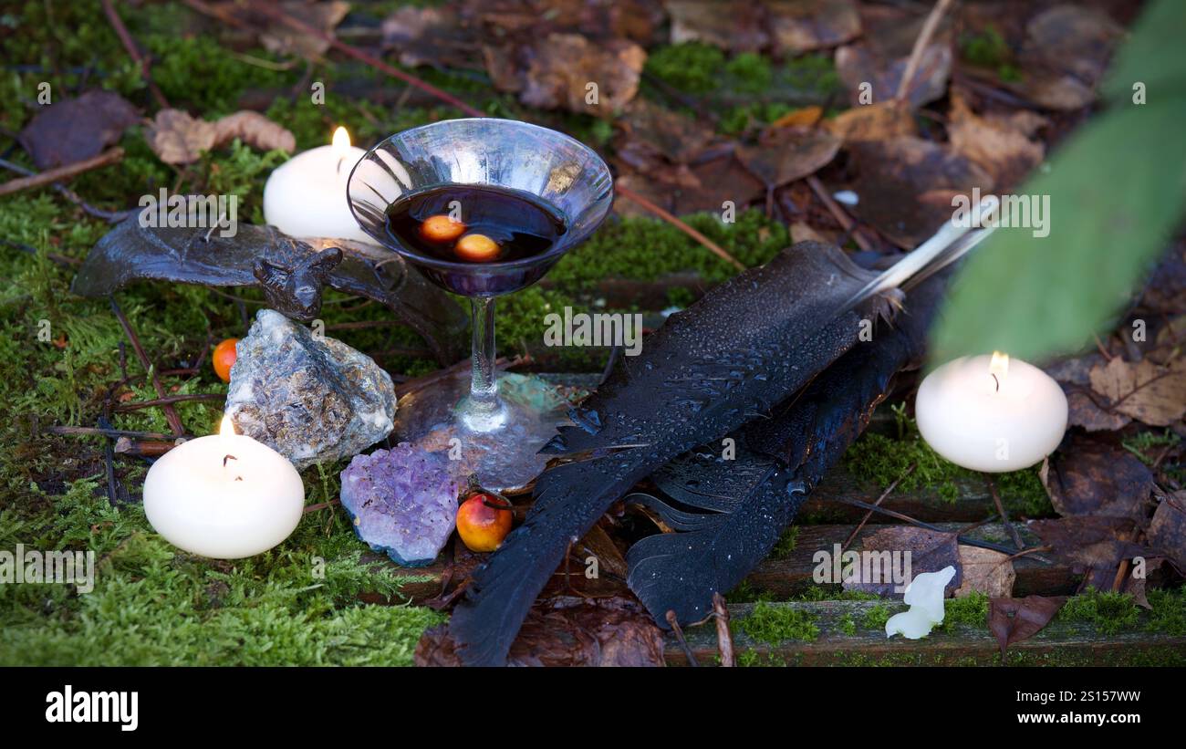 Red wine, rose hips, crow feathers and candles. A magical ceremony ...
