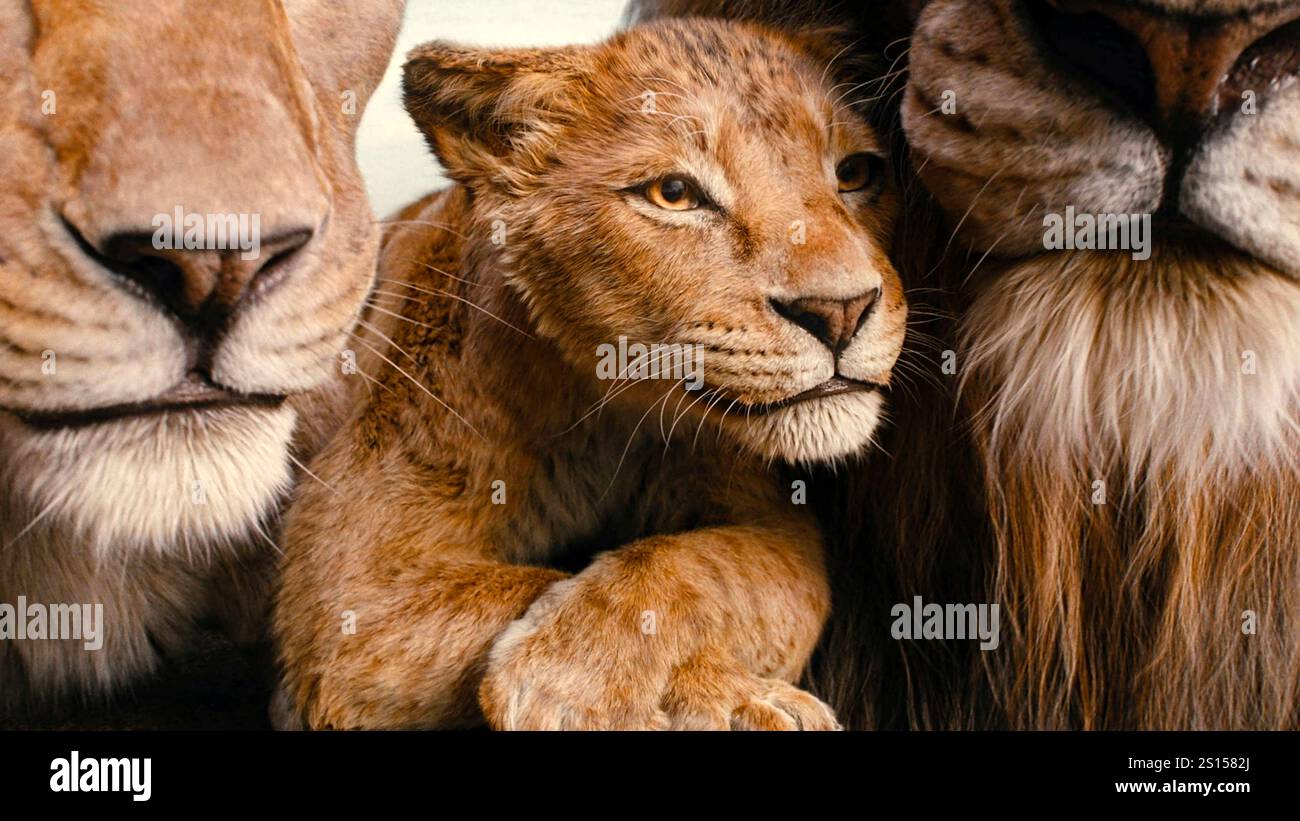 Mufasa: The Lion King (2024) directed by Barry Jenkins and starring ...