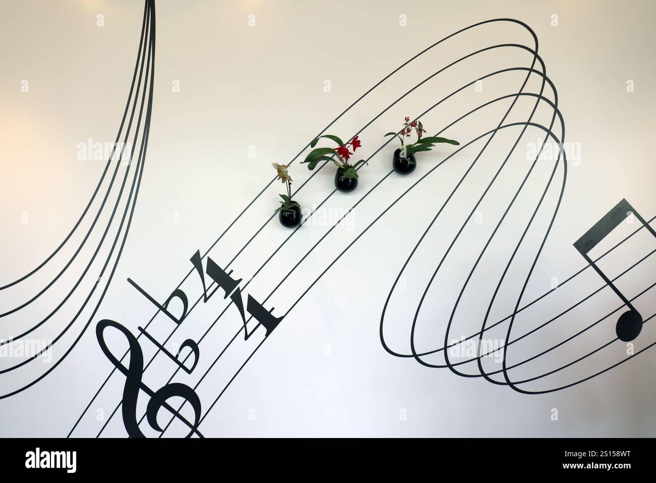 A wall painted with an abstract musical score and three orchid plants ...