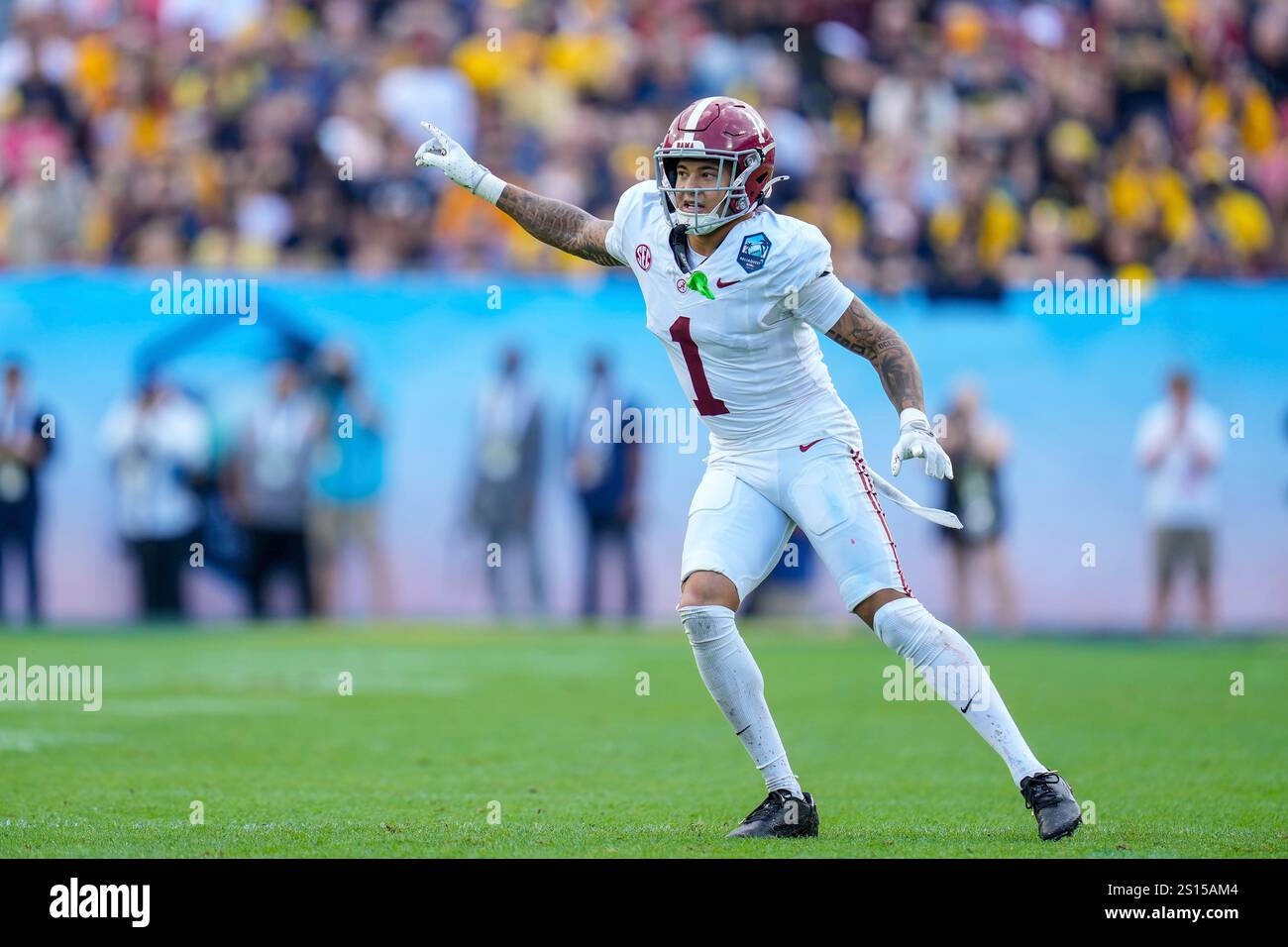 TAMPA, FL - DECEMBER 31: first down points back during the ReliaQuest ...