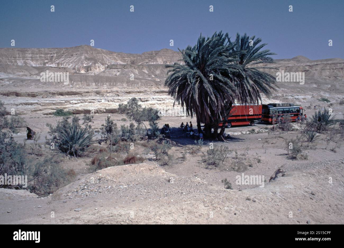 Lunch break at 36 degrees in the shade, Rotel-Tours coach, Sinai, Egypt ...