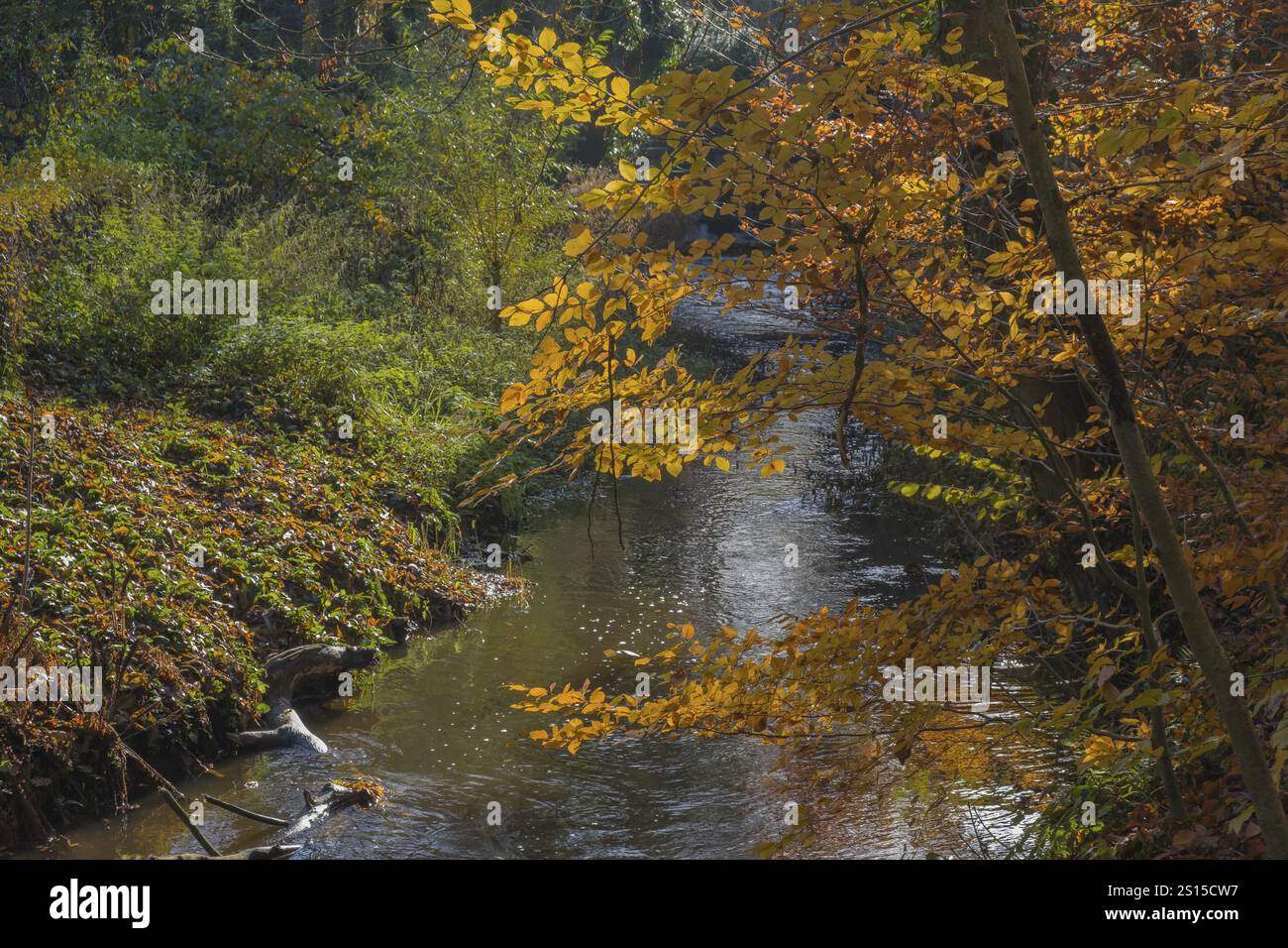 The Gauxbach stream near Haus Welbergen, Ochtrup-Welbergen ...