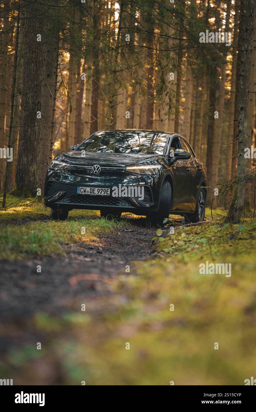 Car on a forest path with grass and light, flanked by tall trees, car ...