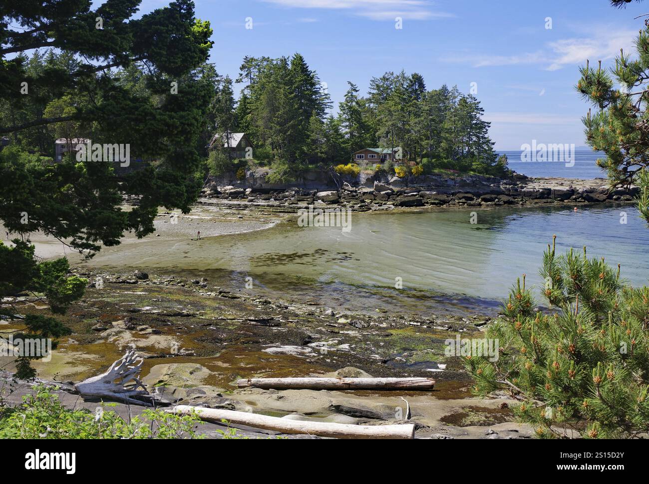Rocks and sand meet the calm sea, framed by trees under a clear blue ...