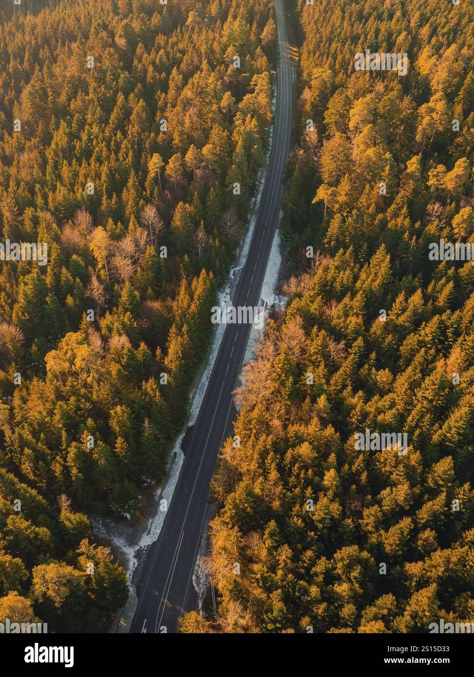 Aerial view of a road in the forest in warm sunlight, Seewald, Black ...