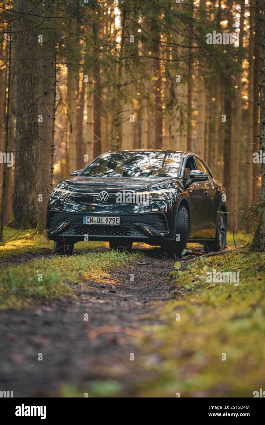 Car on a forest path at sunrise, surrounded by lively foliage, car ...
