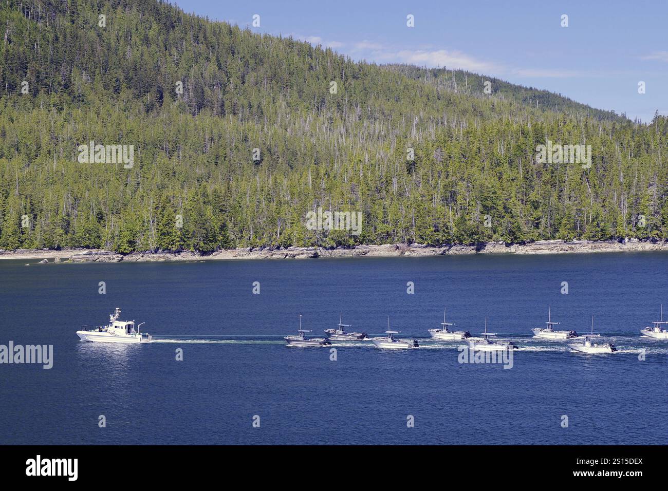 Boats are pulled together on a fjord in front of a green forest ...