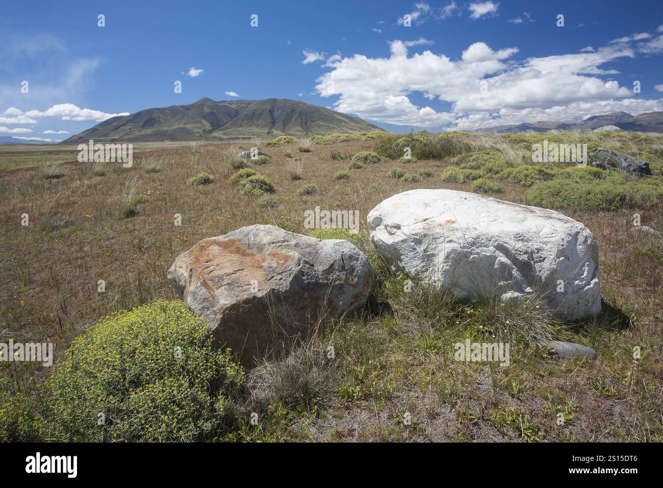 Steppe landscape, Patagonia, near El Calafate, Argentina, South America ...