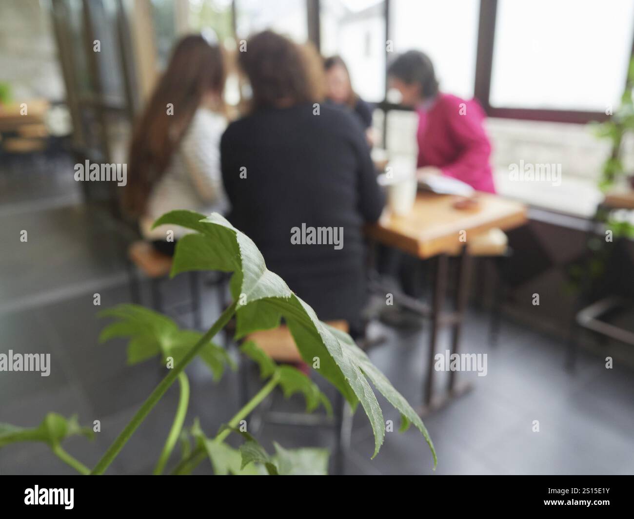 Unfocused background of creative women working together. Out-of-focus ...
