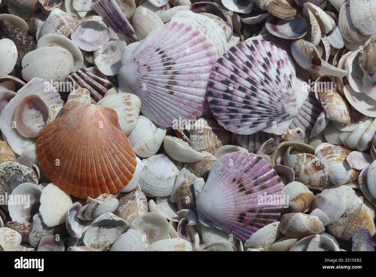 Empty beach chile hi-res stock photography and images - Alamy