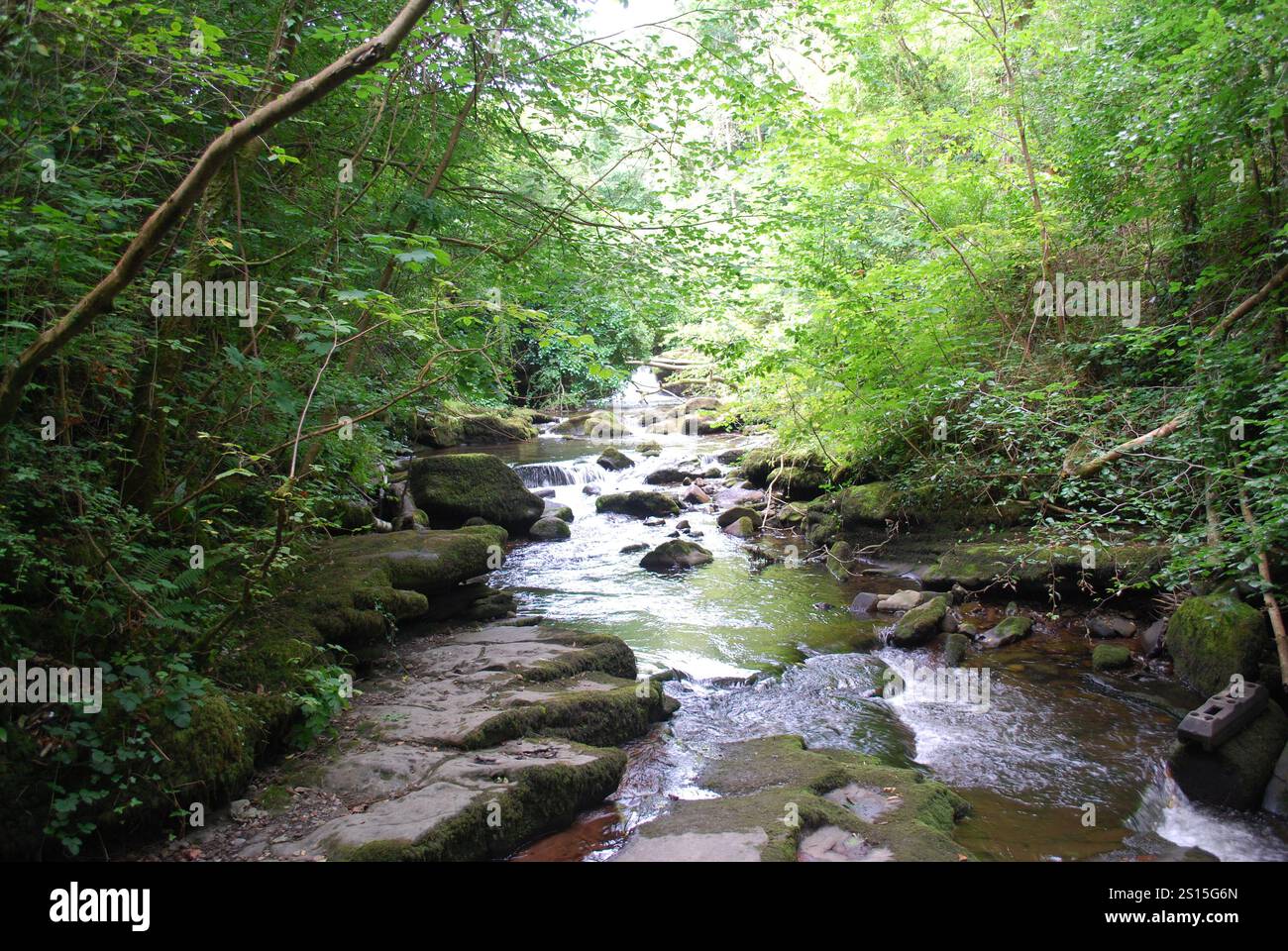 River / streams in Clydach Gorge Stock Photo - Alamy