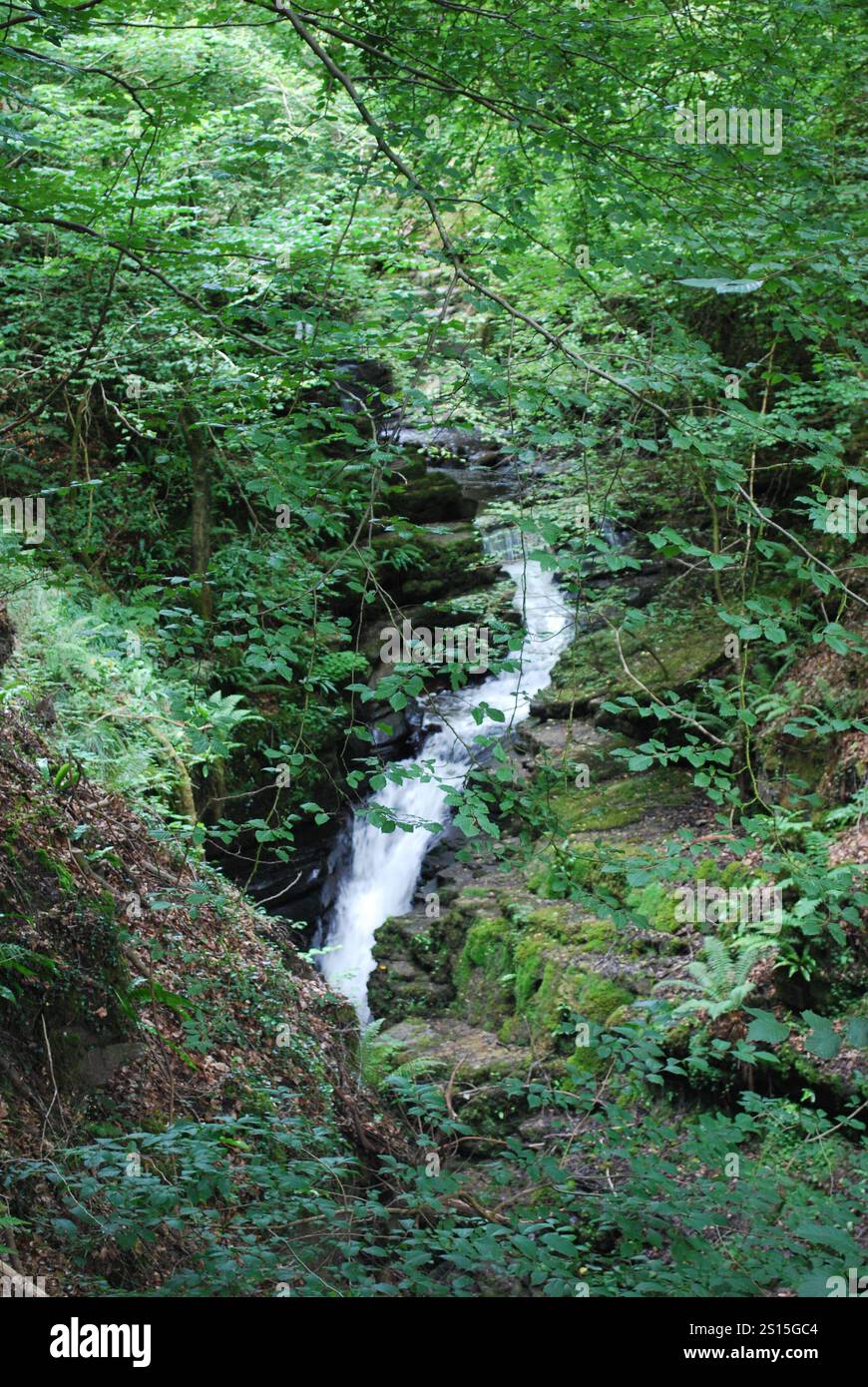 River / streams in Clydach Gorge Stock Photo - Alamy