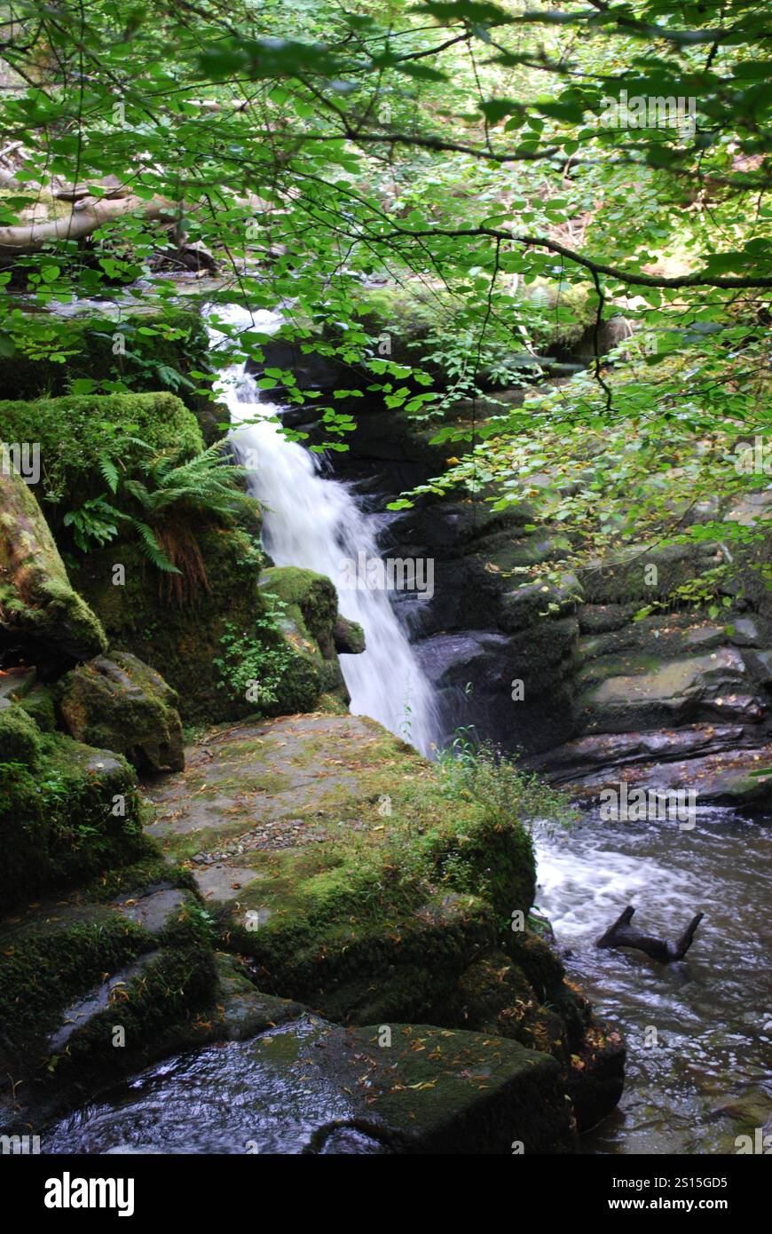 Cwm clydach nature reserve hi-res stock photography and images - Alamy