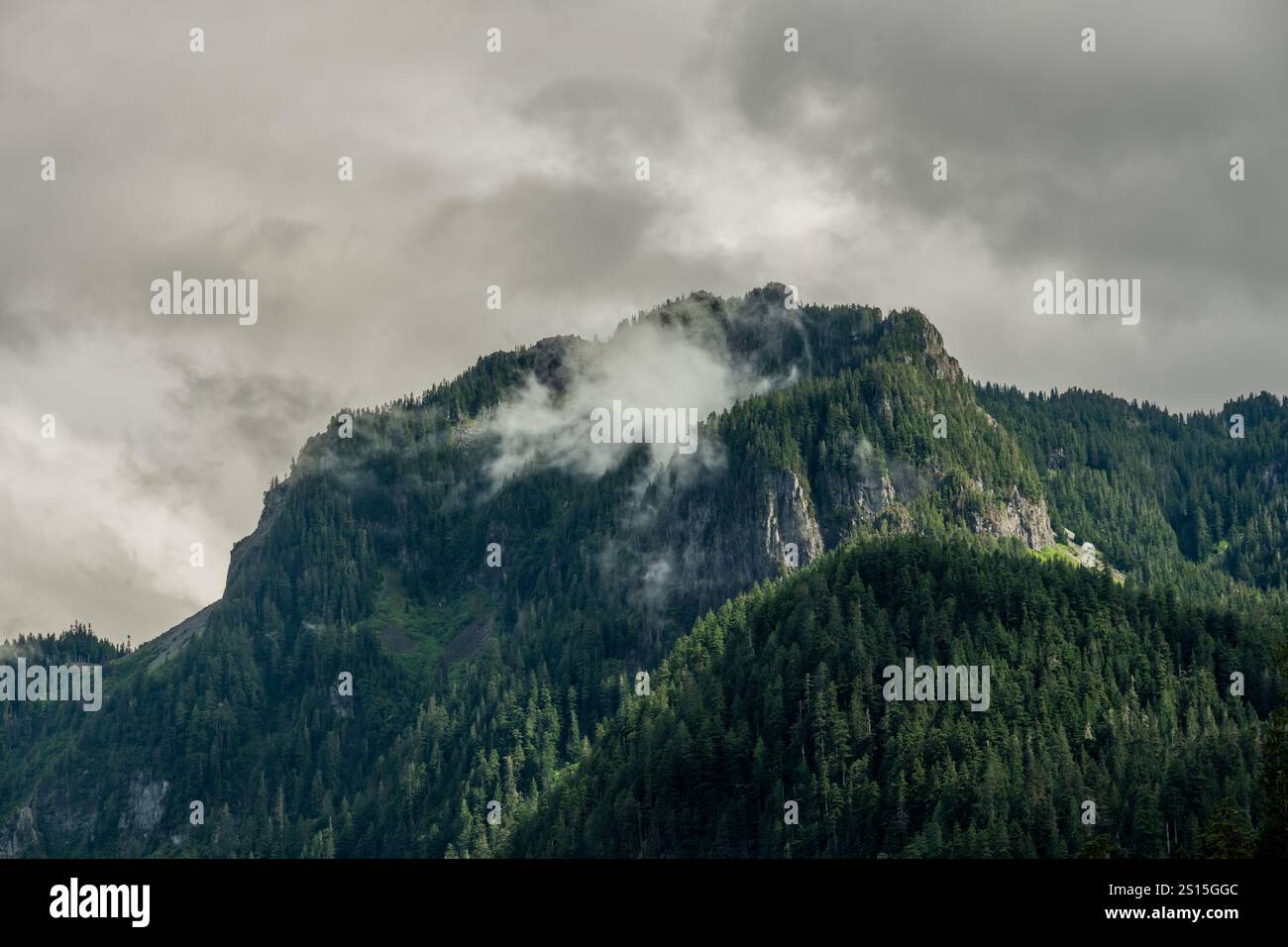 Patch of Fog Hangs In A Low Patch On Mother Mountain in Mount Rainier ...