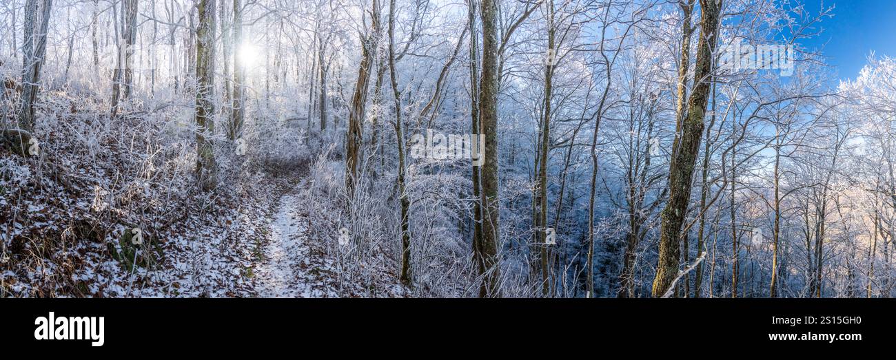 Panorama of Snowy Forest Along Appalachain Trail In Great Smoky ...