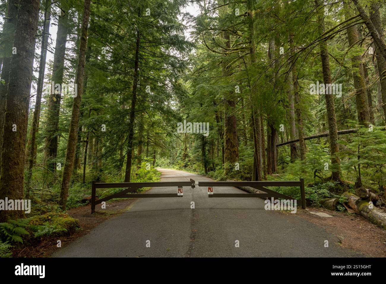 Road Blocks At The Beginning Of Carbon River Trail In Mount Rainier ...