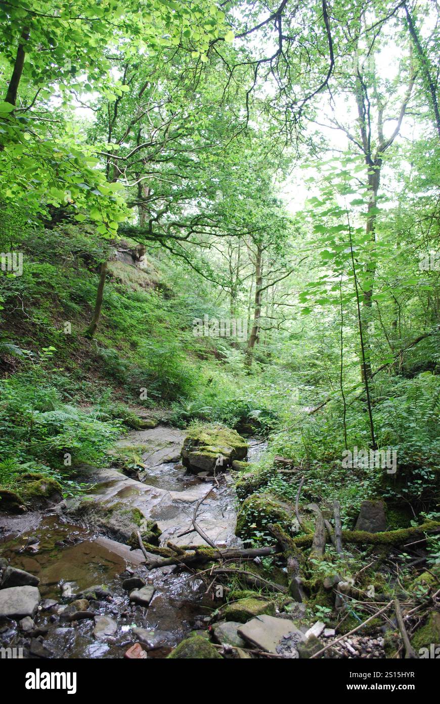 Waterfalls & Streams near Hafod Arch, Clydach Gorge Stock Photo - Alamy