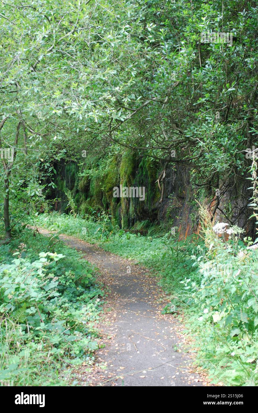 Walk Near Hafod Arch, Clydach Gorge Stock Photo - Alamy