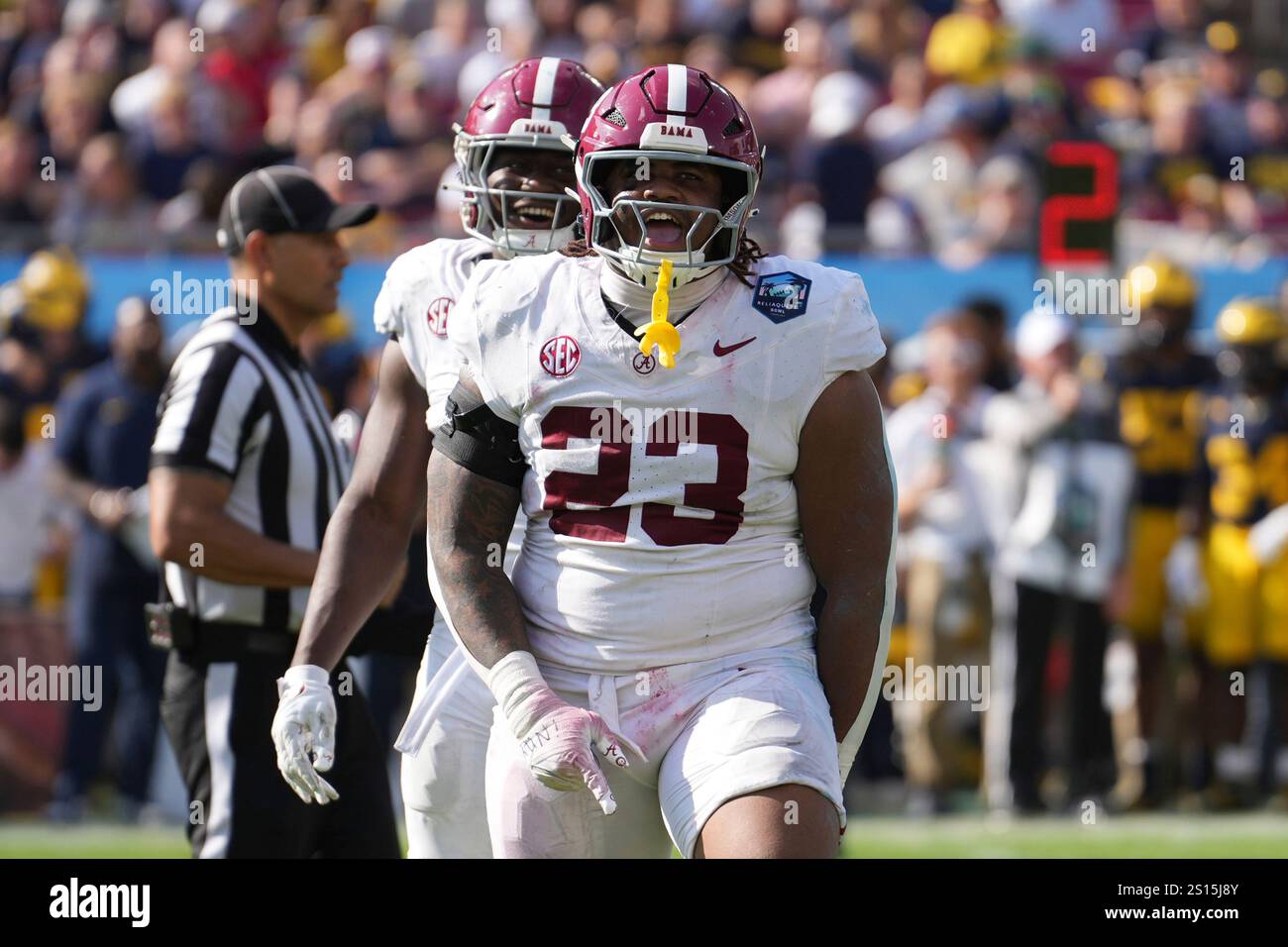TAMPA, FL - DECEMBER 31: Alabama Crimson Tide defensive lineman James ...