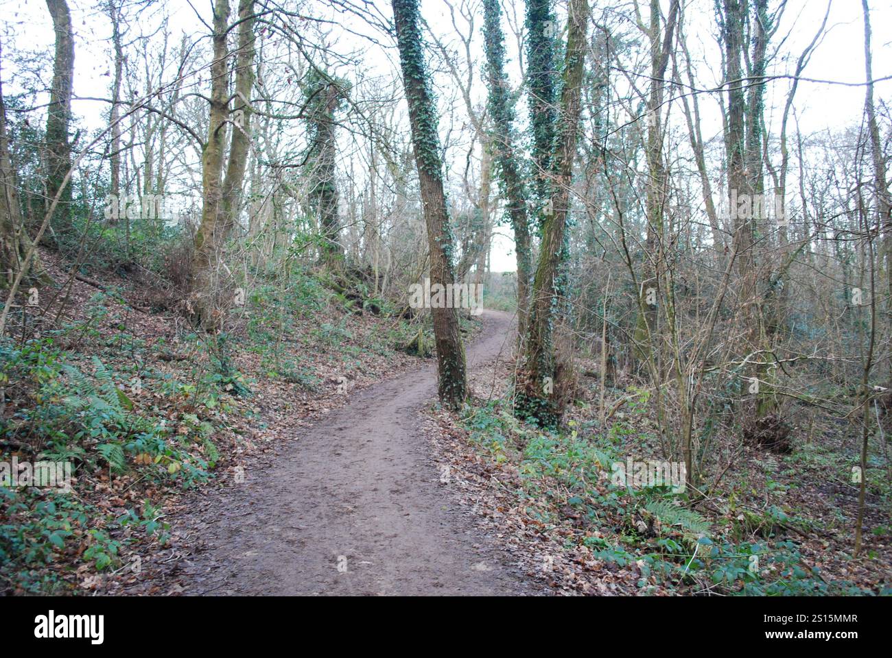 Views Around 14 Locks Visitor Centre Stock Photo - Alamy