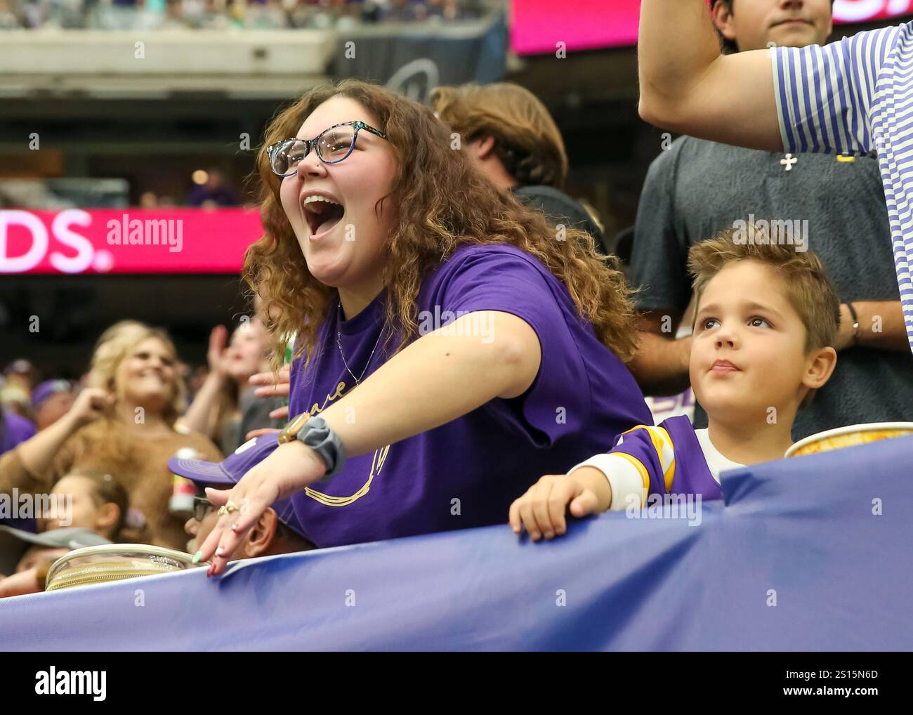HOUSTON, TX - DECEMBER 31: LSU Tigers fan cheers after LSU Tigers ...