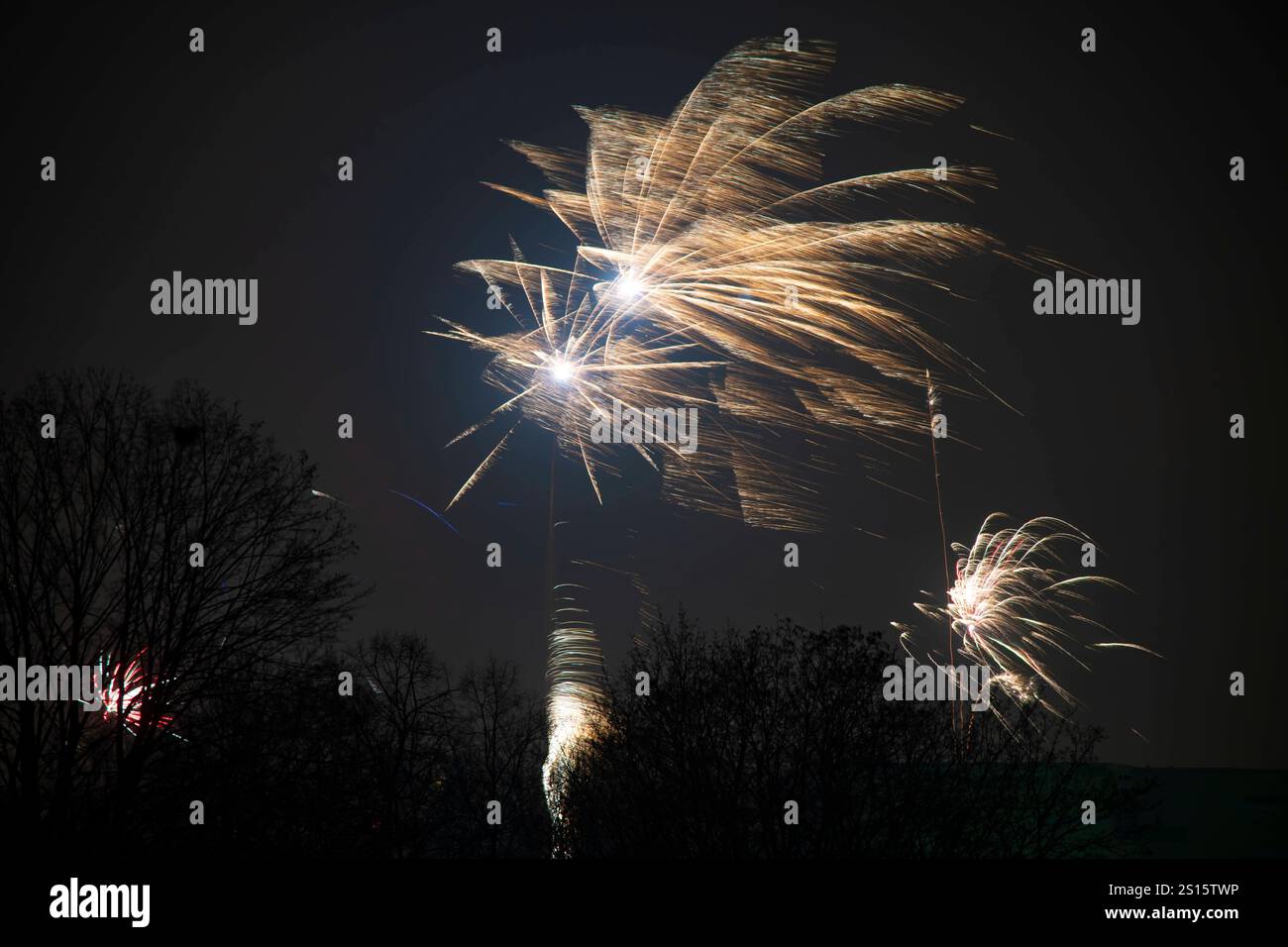 Silvester Menschen begrüßen am 1. Januar 2025 mit Feuerwerk in Berlin ...