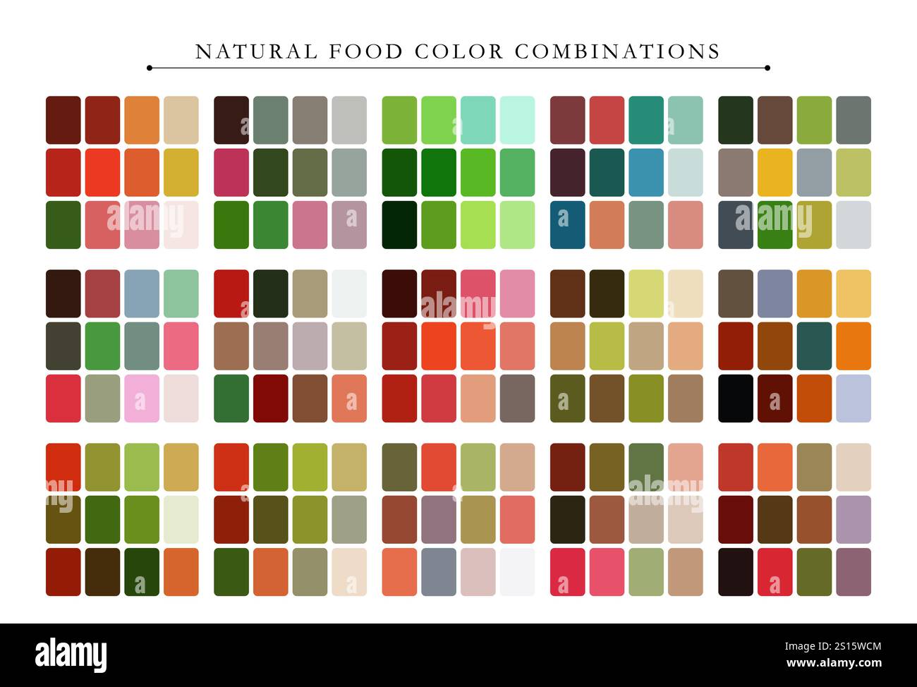 color palette. Trend color palette guide template. Fit for fashion ...