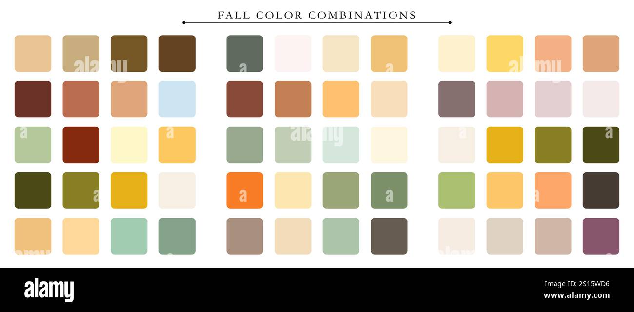 color palette. Trend color palette guide template. Fit for fashion ...