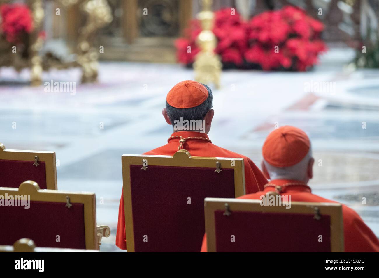 Rome, Italy. 31st Dec, 2024. Cardinals before the start of the end-of ...