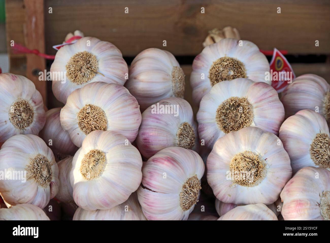 Garlic on sale on market stall, Honfleur Stock Photo - Alamy