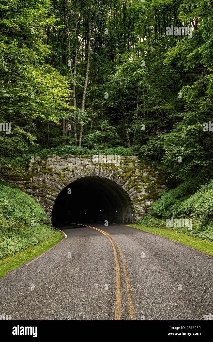 Standing In The Middle Of Blue Ridge Parkway Looking Toward Big Witch ...