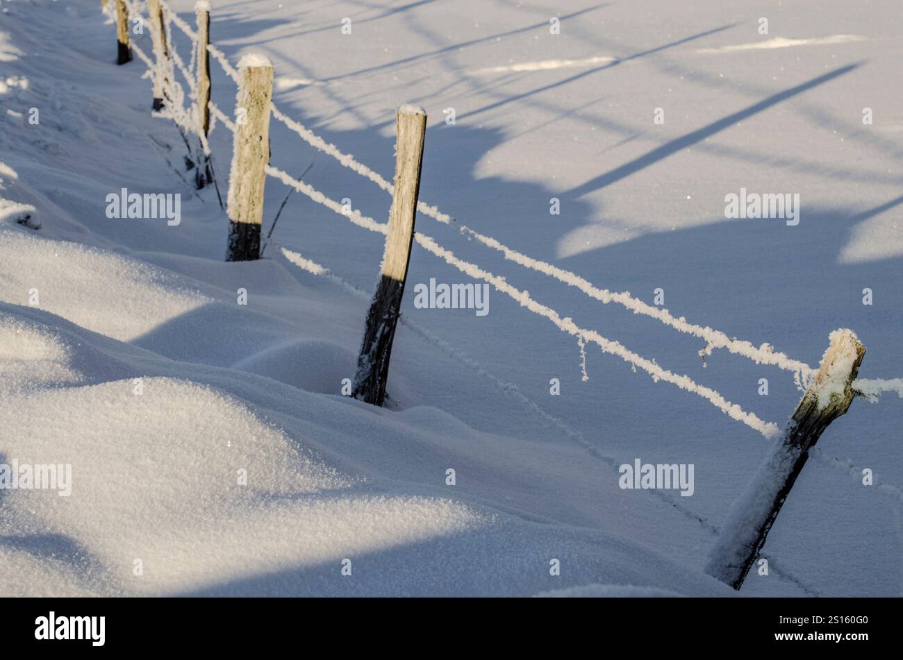 Crisp snow and freezing day Stock Photo - Alamy
