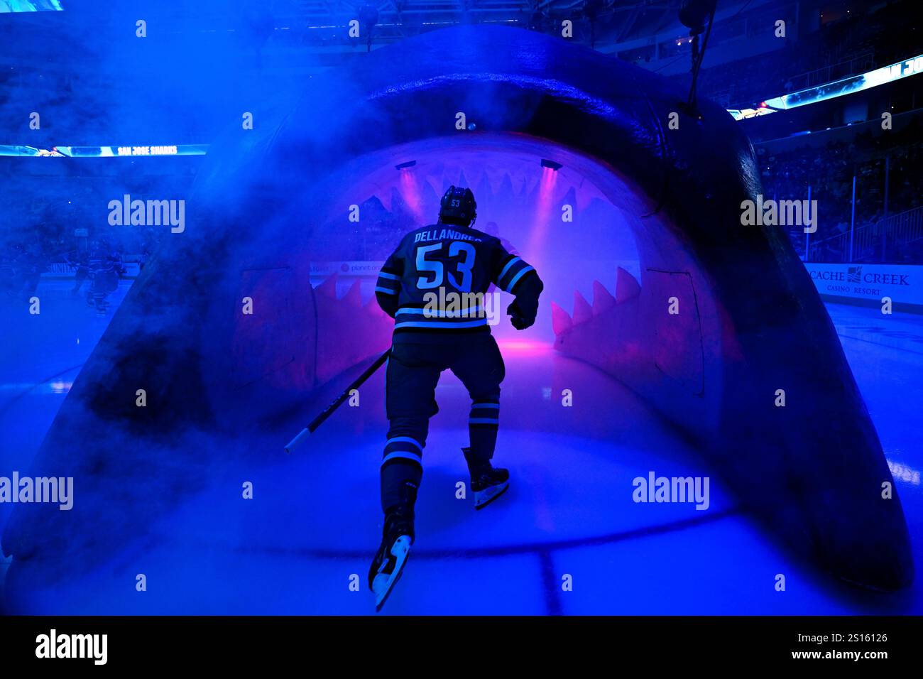 San Jose Sharks center Ty Dellandrea (53) takes the ice before an NHL ...