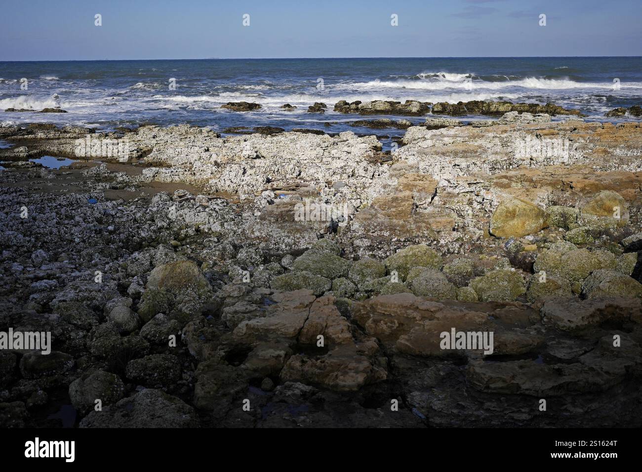 Photo taken on Jan. 1, 2025, shows an elevated seabed in Suzu, Ishikawa ...