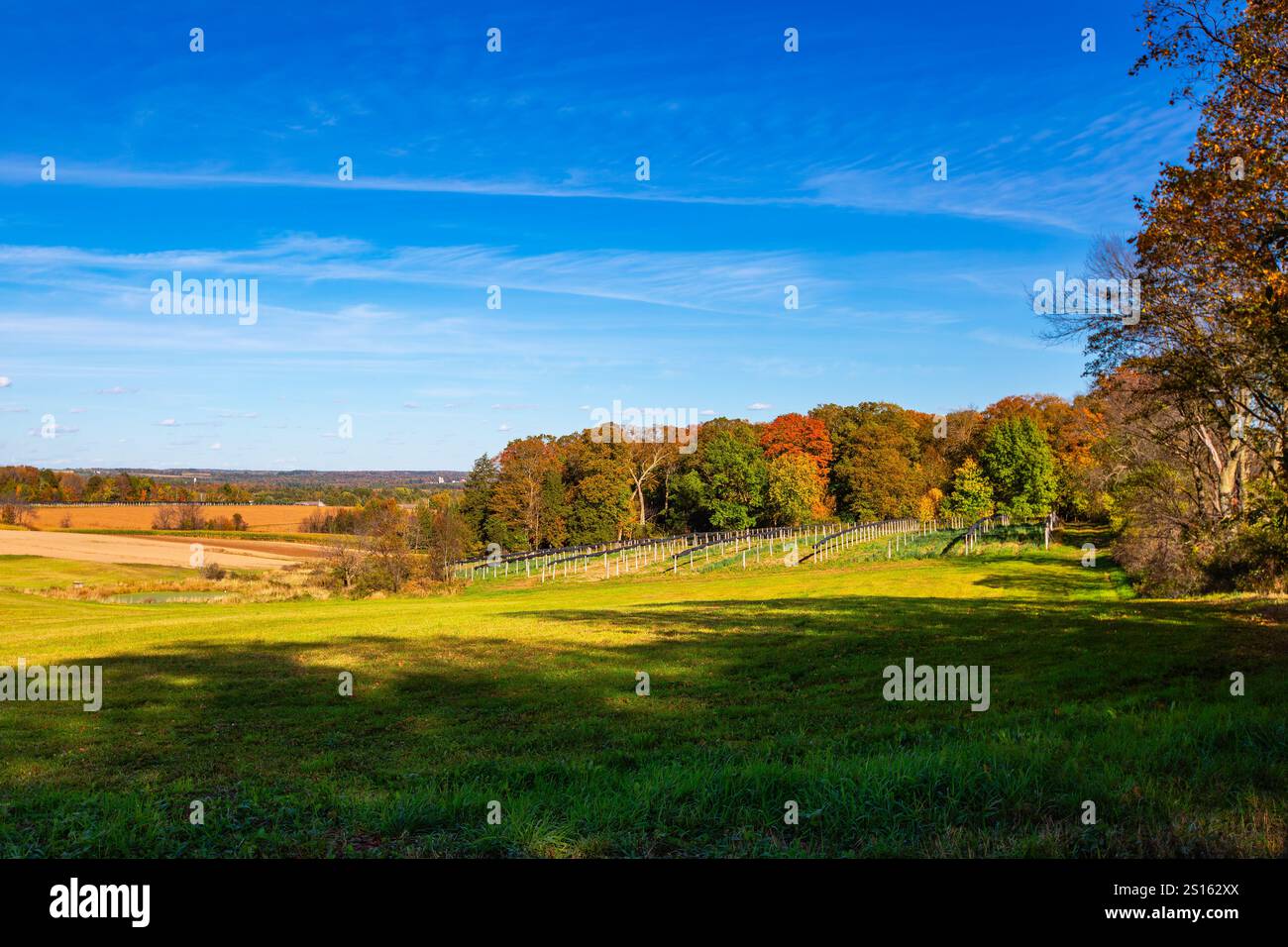 Colorful Wisconsin forest and farmland with corn in early October ...