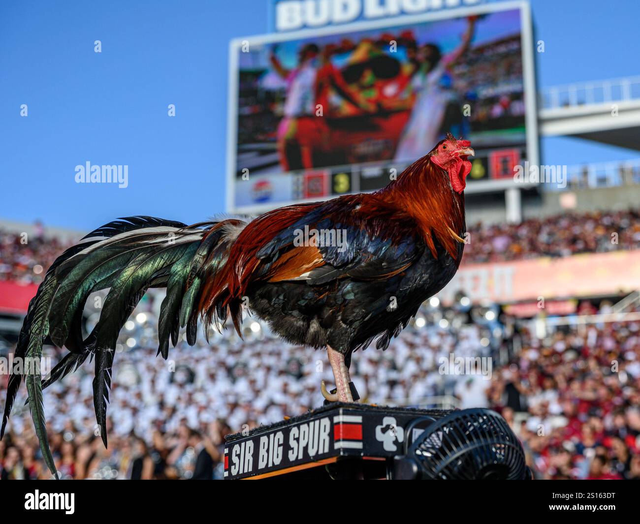 Orlando, USA. 31st Dec, 2024. December 31, 2024: Sir Big Spur the ...